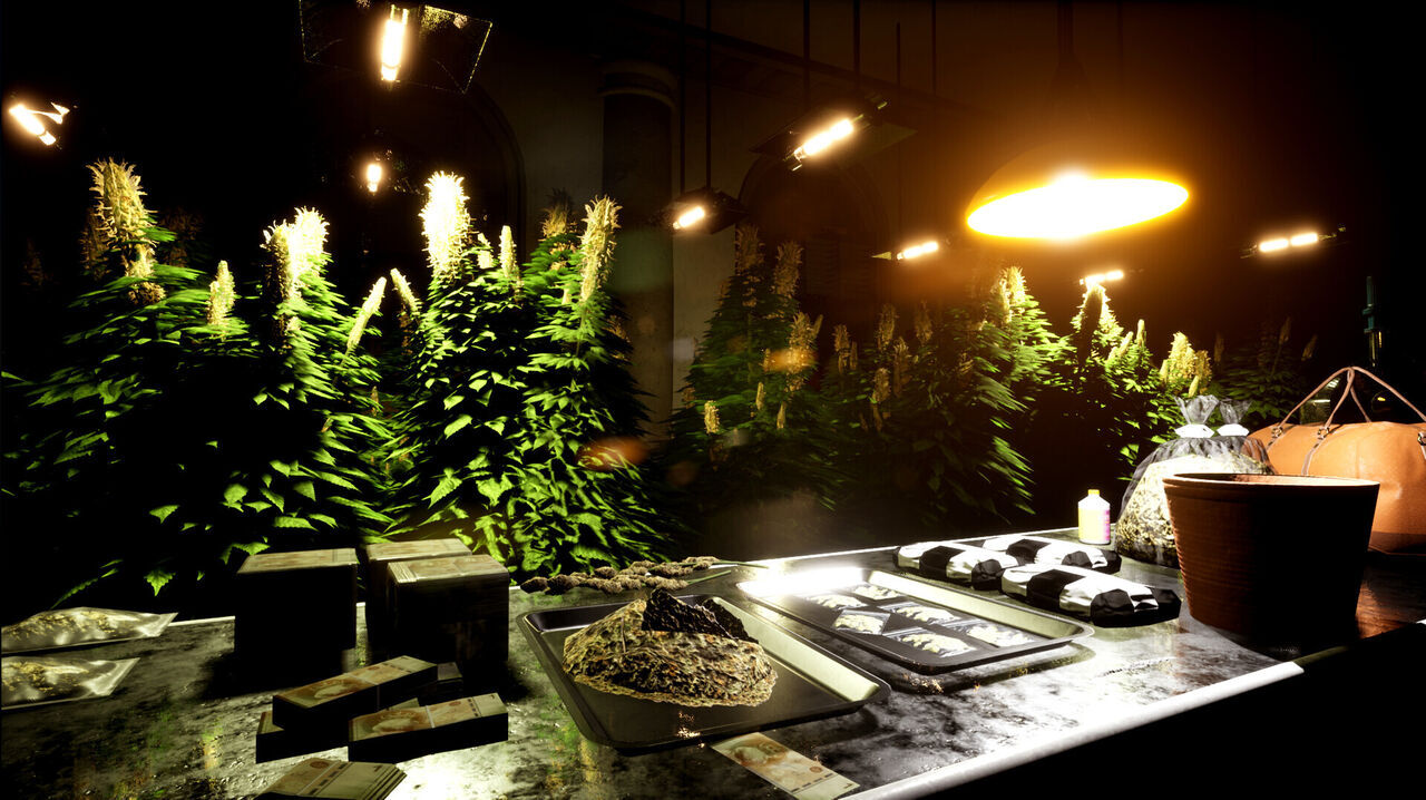 Drug Dealer Simulator 2 - Videojuego (PC) - Vandal