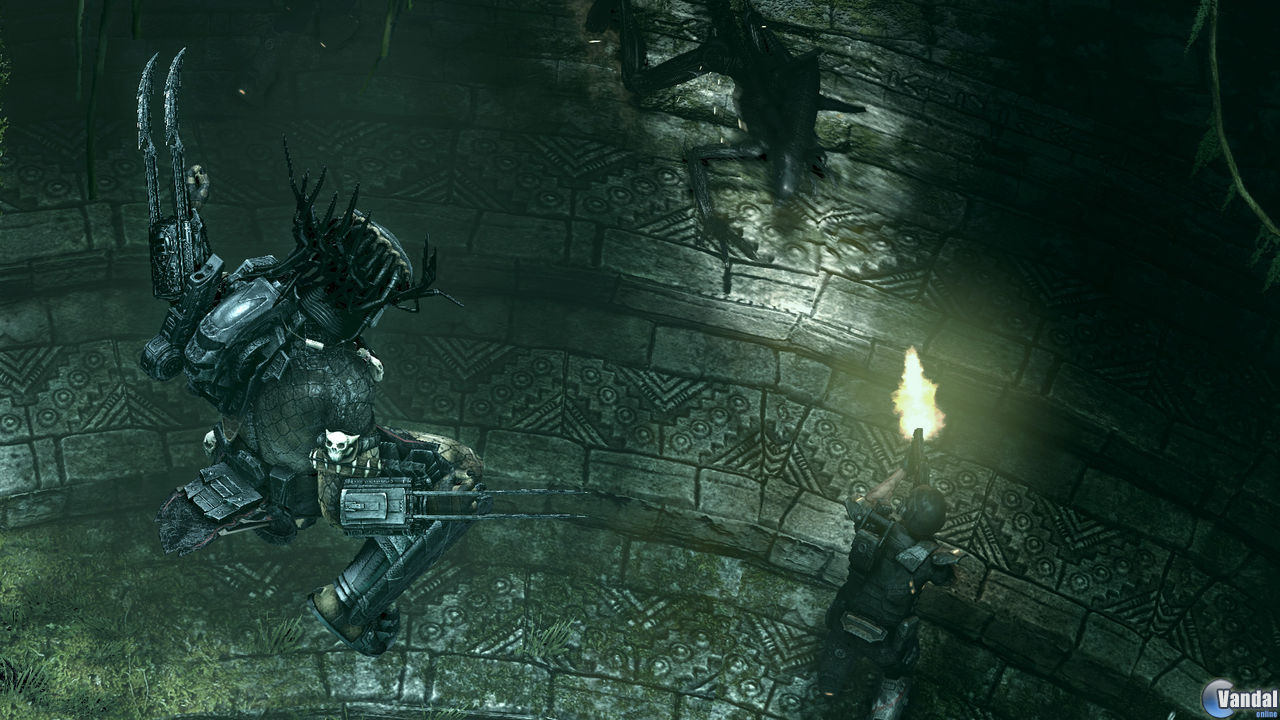Aliens vs. Predator - Videojuego (PC, PS3 y Xbox 360) - Vandal