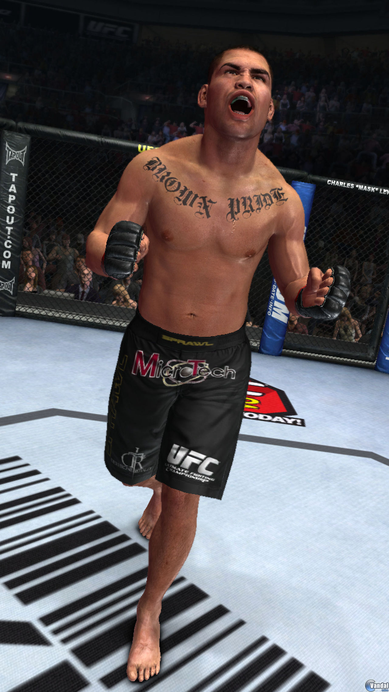 UFC 2010 Undisputed - Videojuego (Xbox 360, PSP y PS3) - Vandal