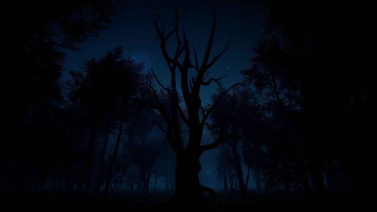 Slender: The Arrival - Videojuego (Xbox Series X, PS5 y PS4) - Vandal