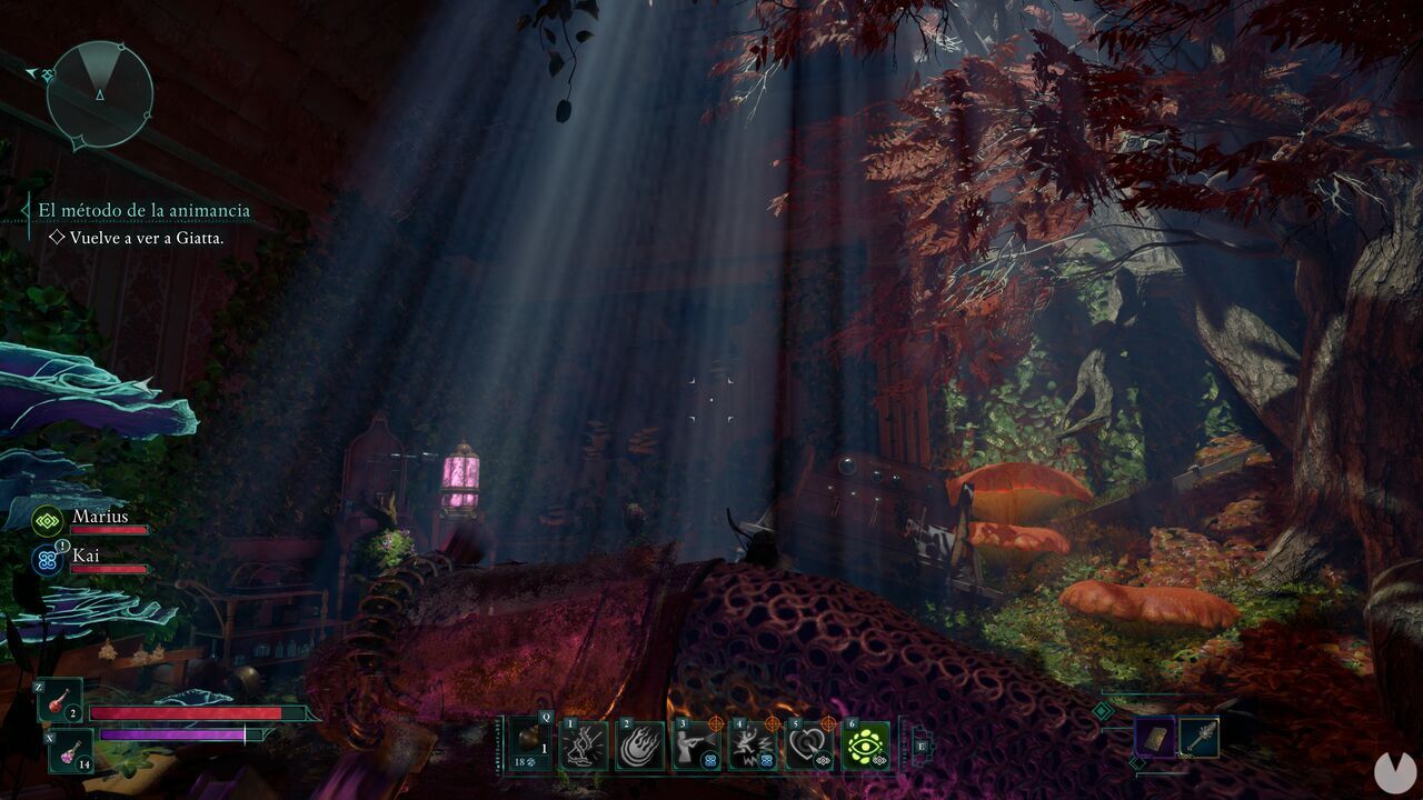 Análisis de Avowed: Un RPG con un combate intenso que hará las delicias ...