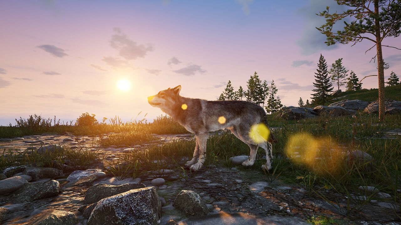 Deadside - Videojuego (PS5 y Xbox Series X) - Vandal