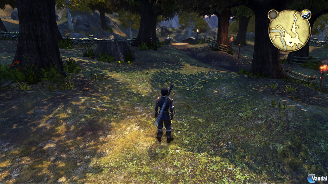 Fable Anniversary - Videojuego (Xbox 360 y PC) - Vandal