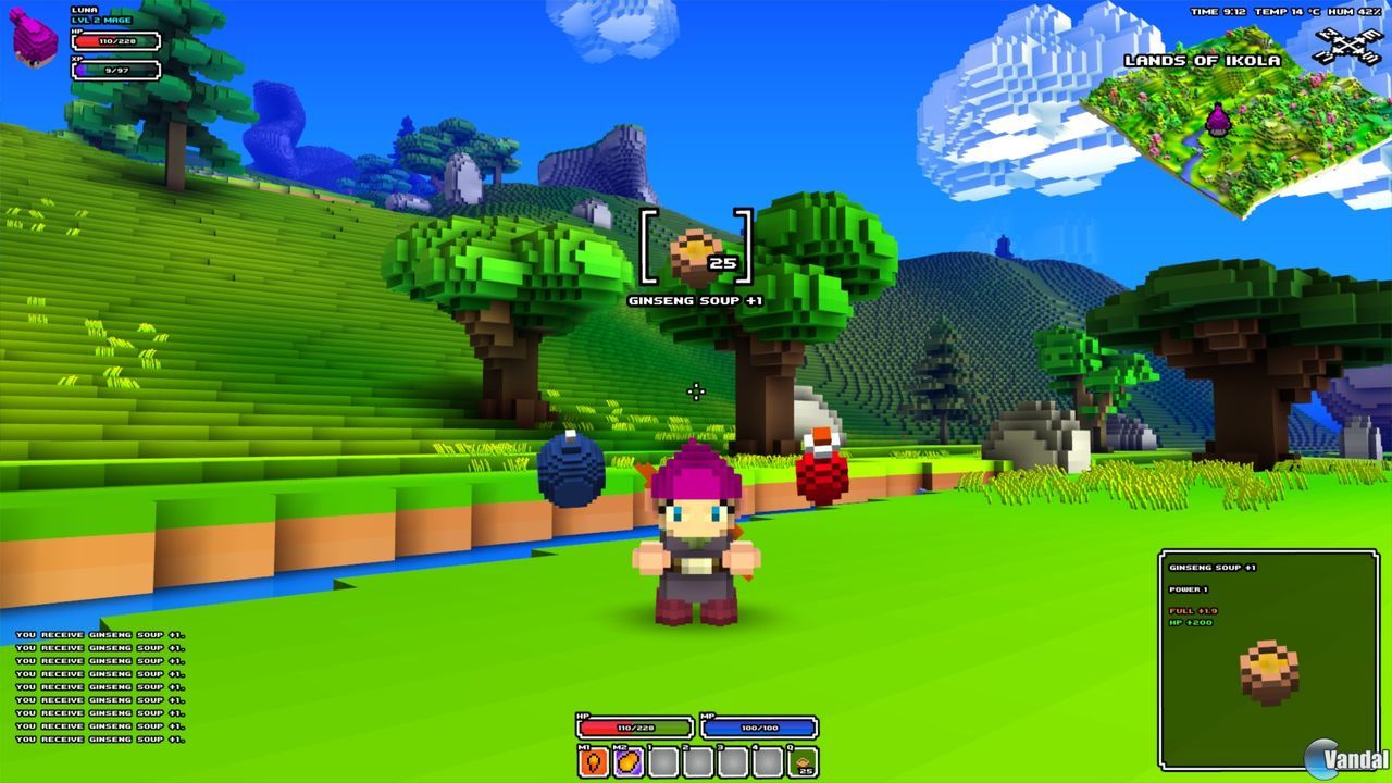Cube World - Videojuego (PC) - Vandal