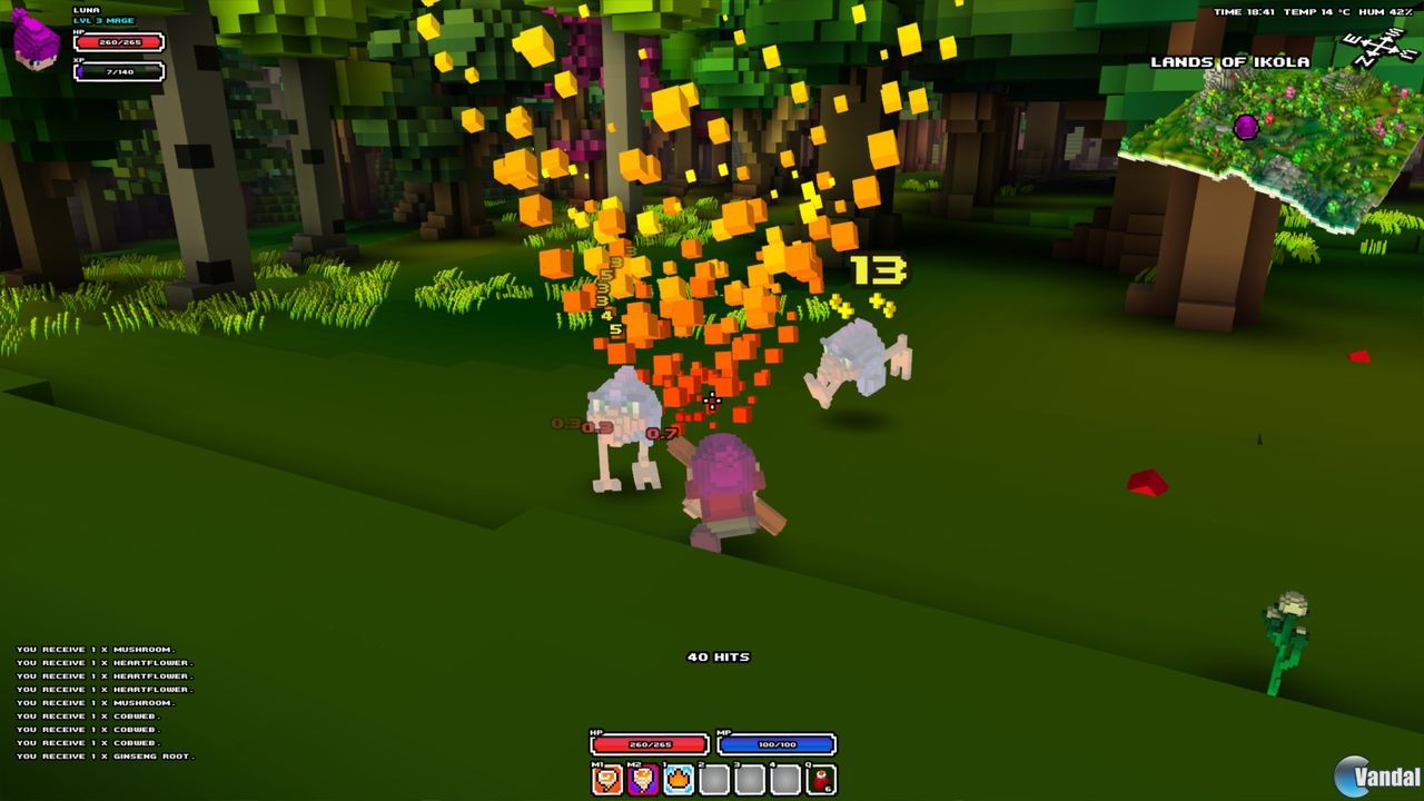 Cube World - Videojuego (PC) - Vandal