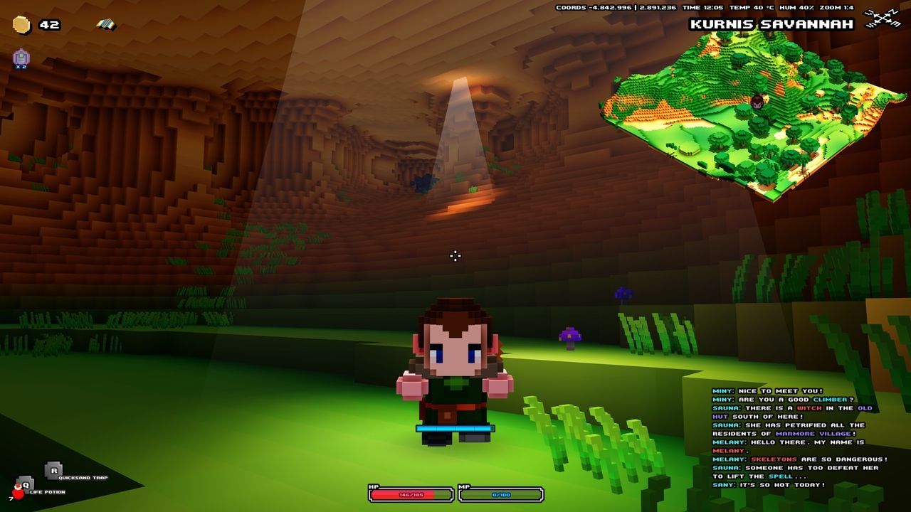 Cube World - Videojuego (PC) - Vandal