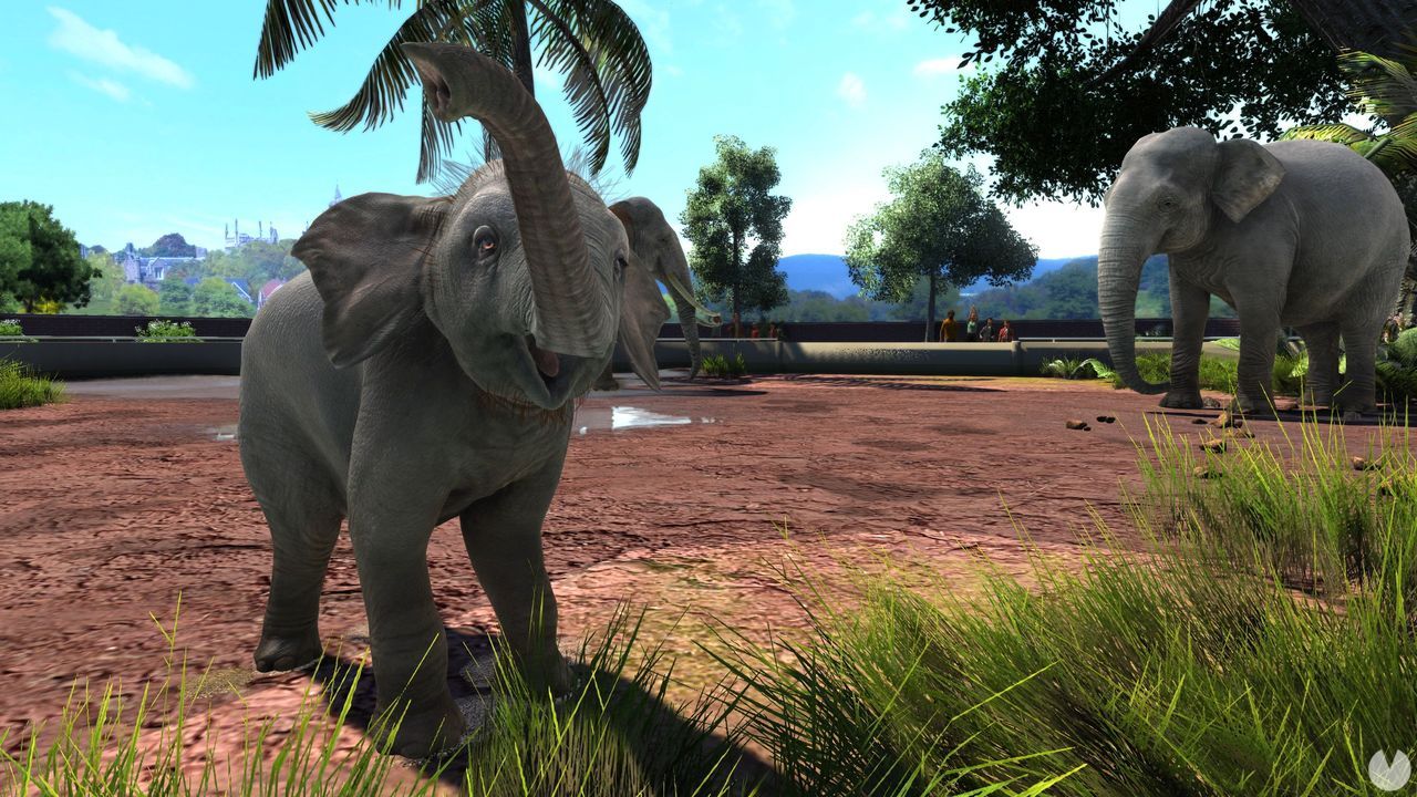 Zoo Tycoon - Videojuego (Xbox One, NDS, Xbox 360 y PC) - Vandal