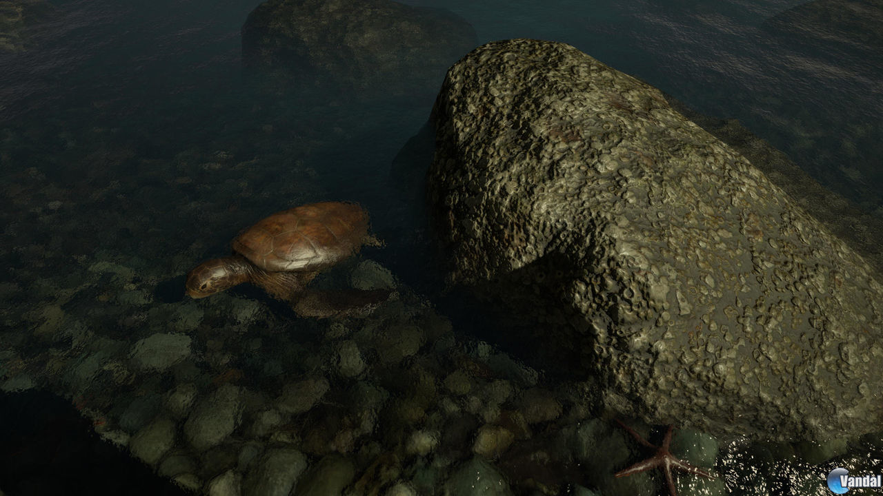 The Forest - Videojuego (PC y PS4) - Vandal