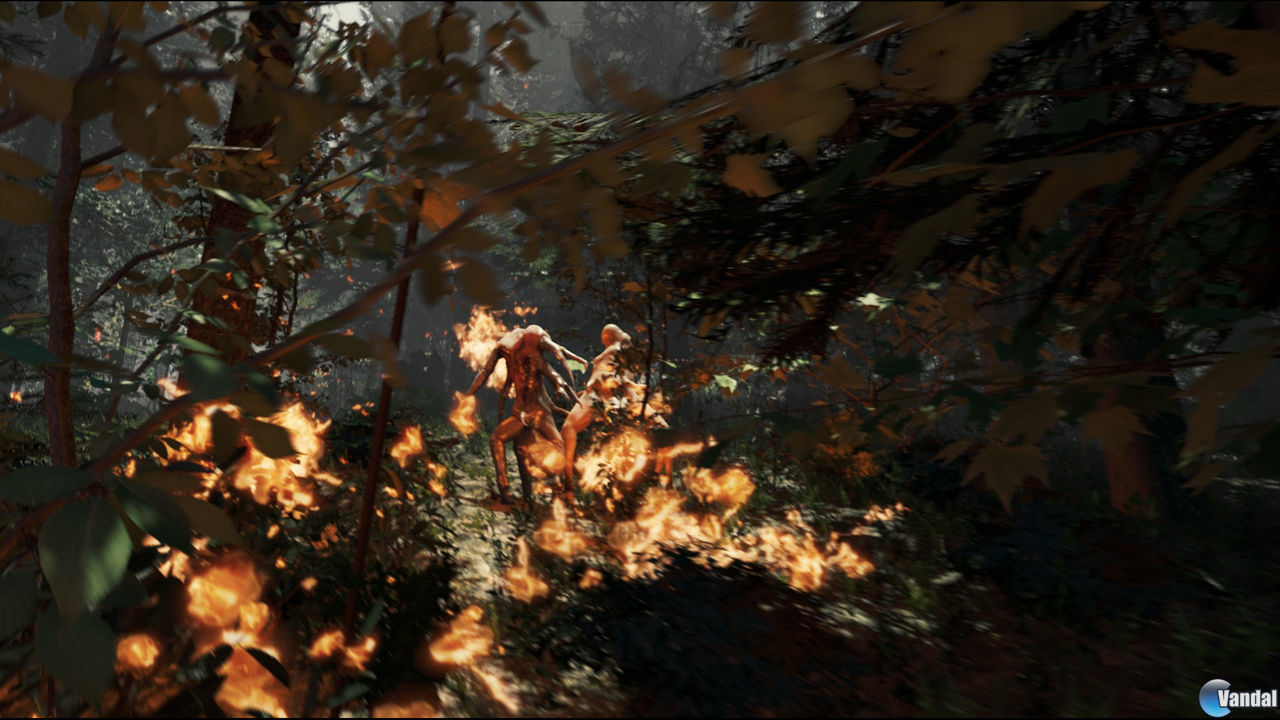 The Forest - Videojuego (PC y PS4) - Vandal