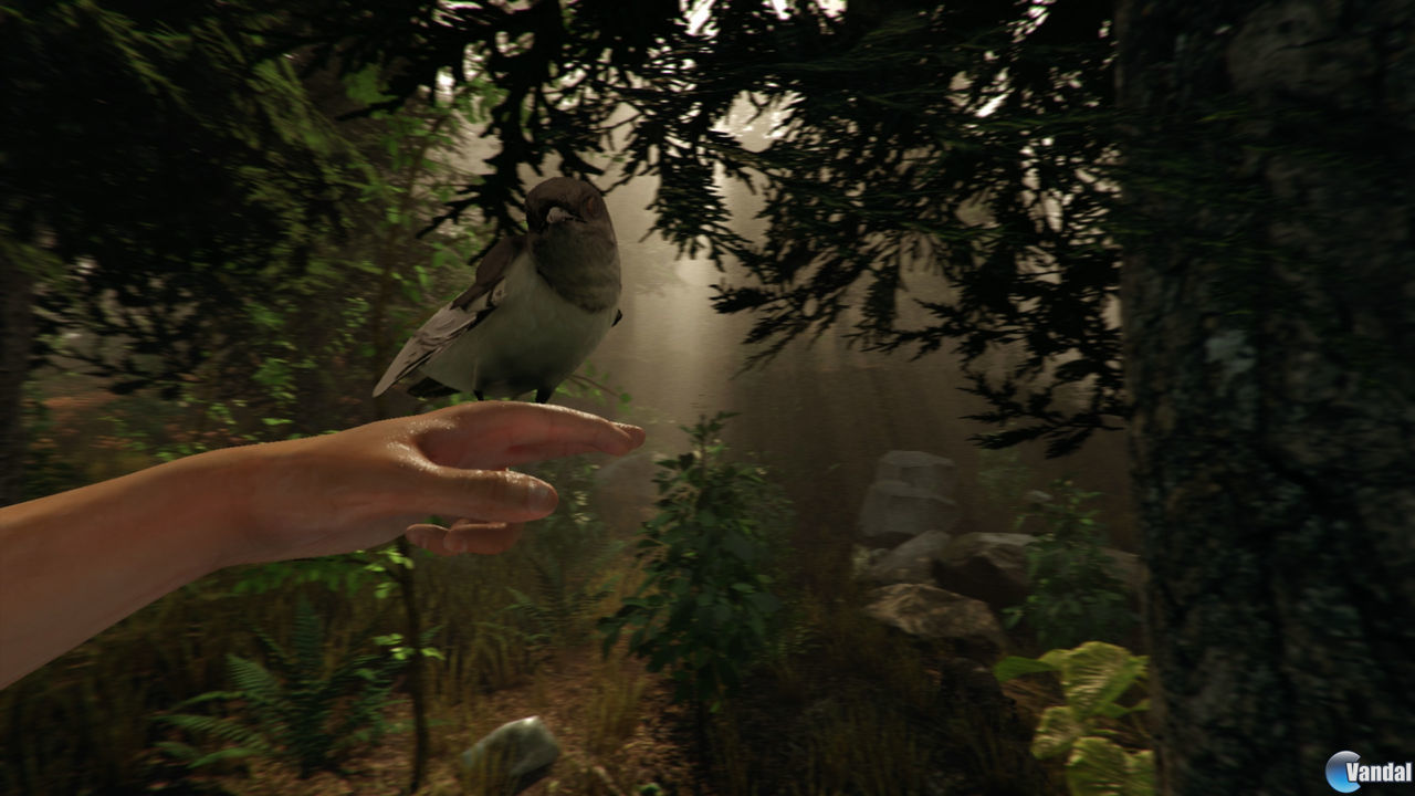 The Forest - Videojuego (PC y PS4) - Vandal