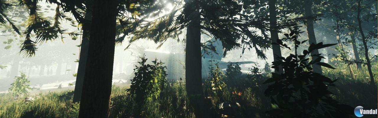 The Forest - Videojuego (PC y PS4) - Vandal