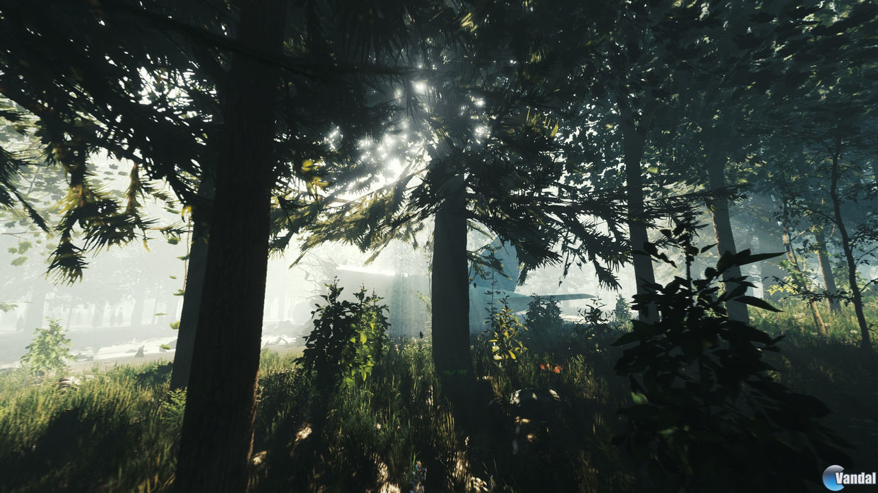 The Forest - Videojuego (PC y PS4) - Vandal