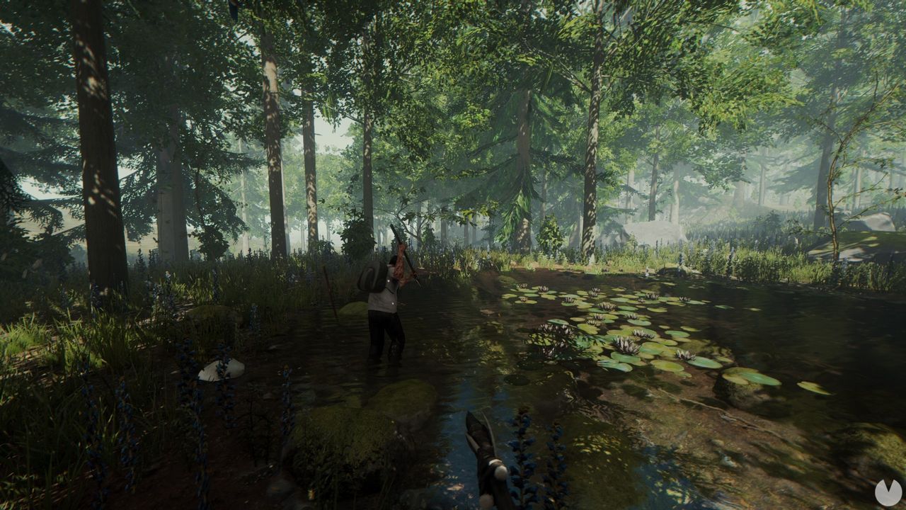 The Forest - Videojuego (PC y PS4) - Vandal