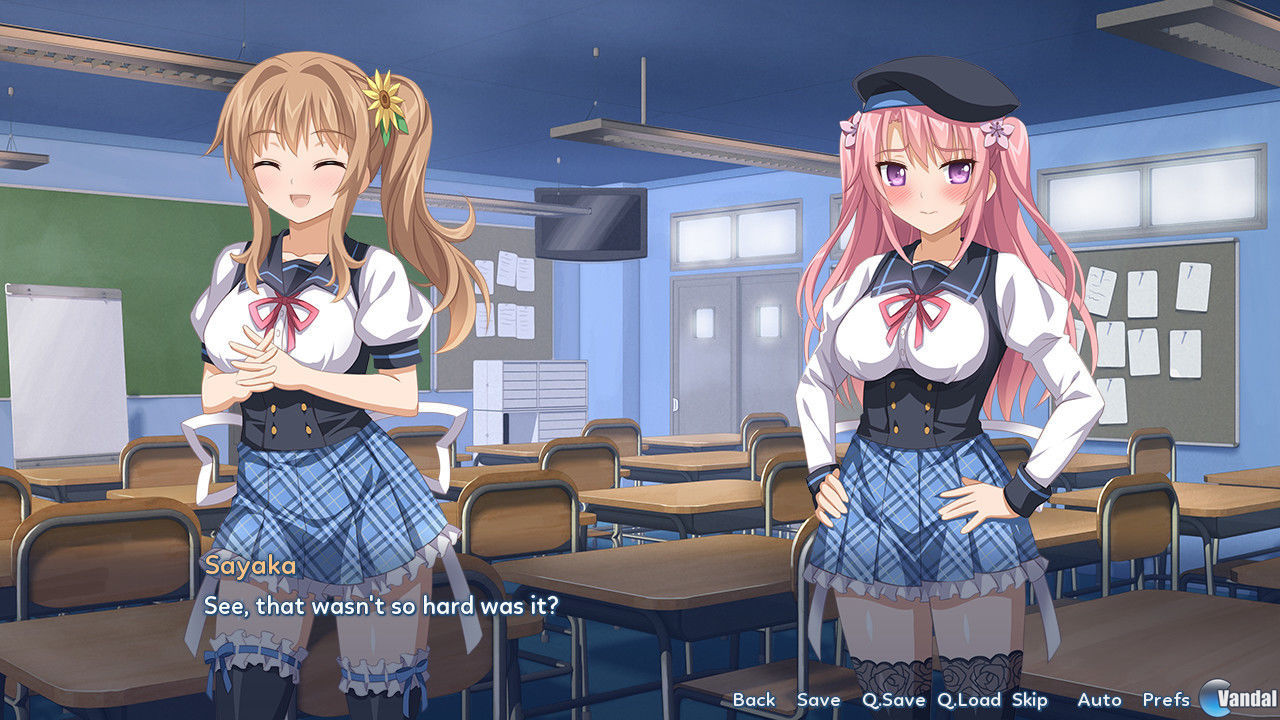 Sakura Angels - Videojuego (PC y Switch) - Vandal