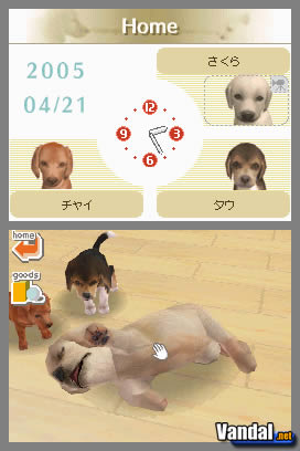 Nintendogs - Videojuego (NDS) - Vandal