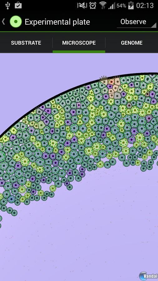 Cell Lab: Evolution Sandbox - Videojuego (Android) - Vandal