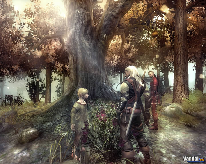 The Witcher - Videojuego (PC) - Vandal