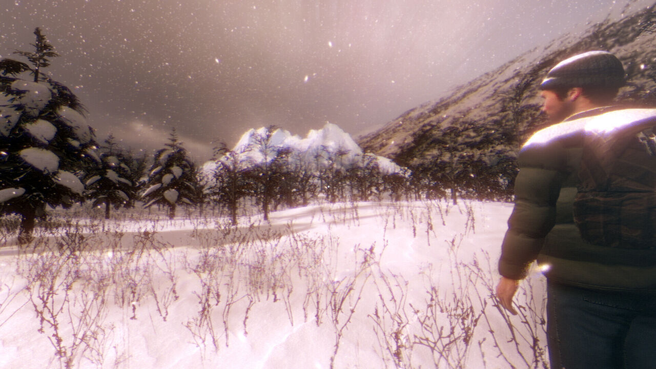 Tales Beyond The Tomb - White Silence - Videojuego (PC) - Vandal