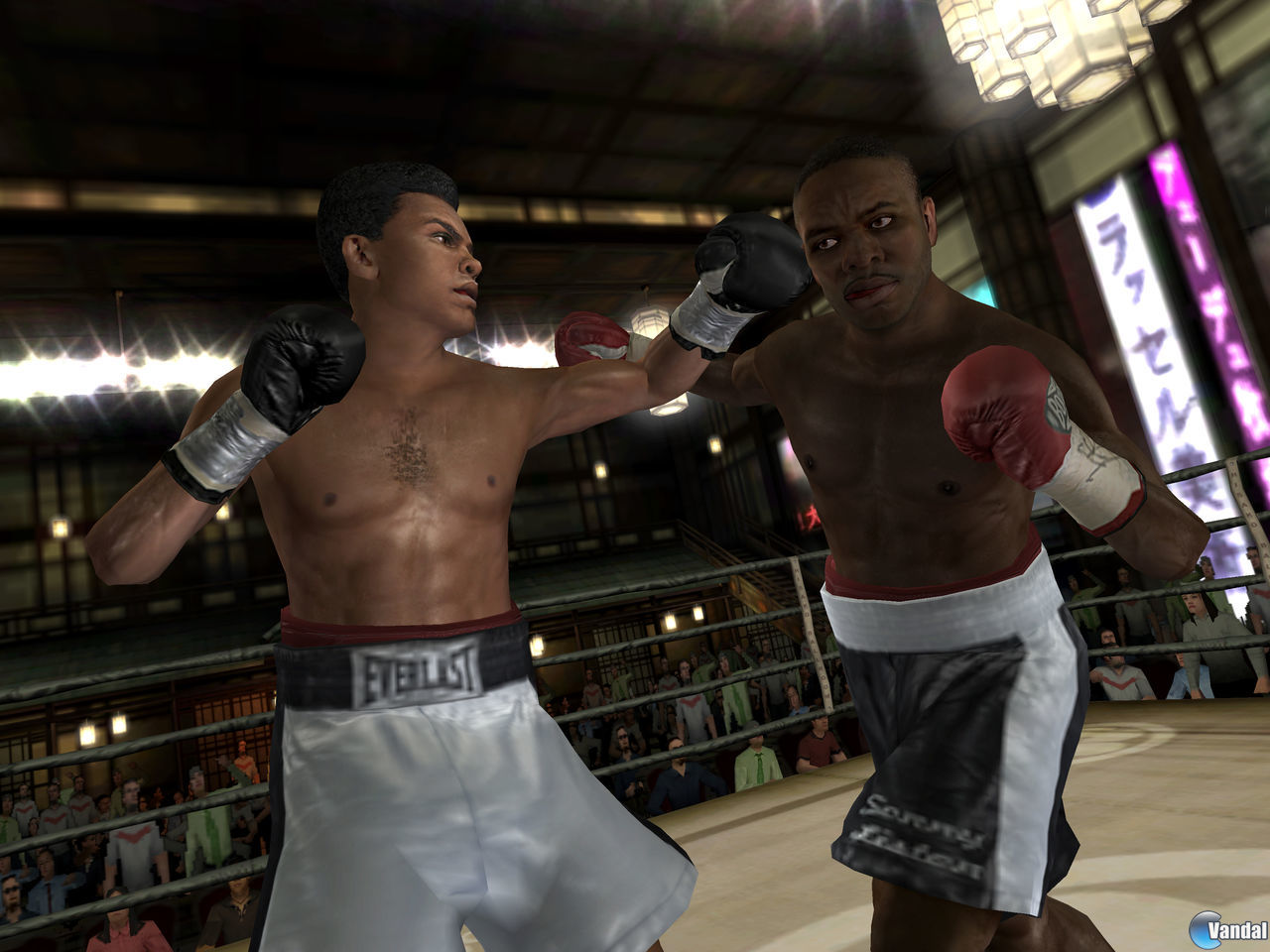 EA Sports Fight Night Round 2 - Videojuego (PS2, Xbox y GameCube) - Vandal