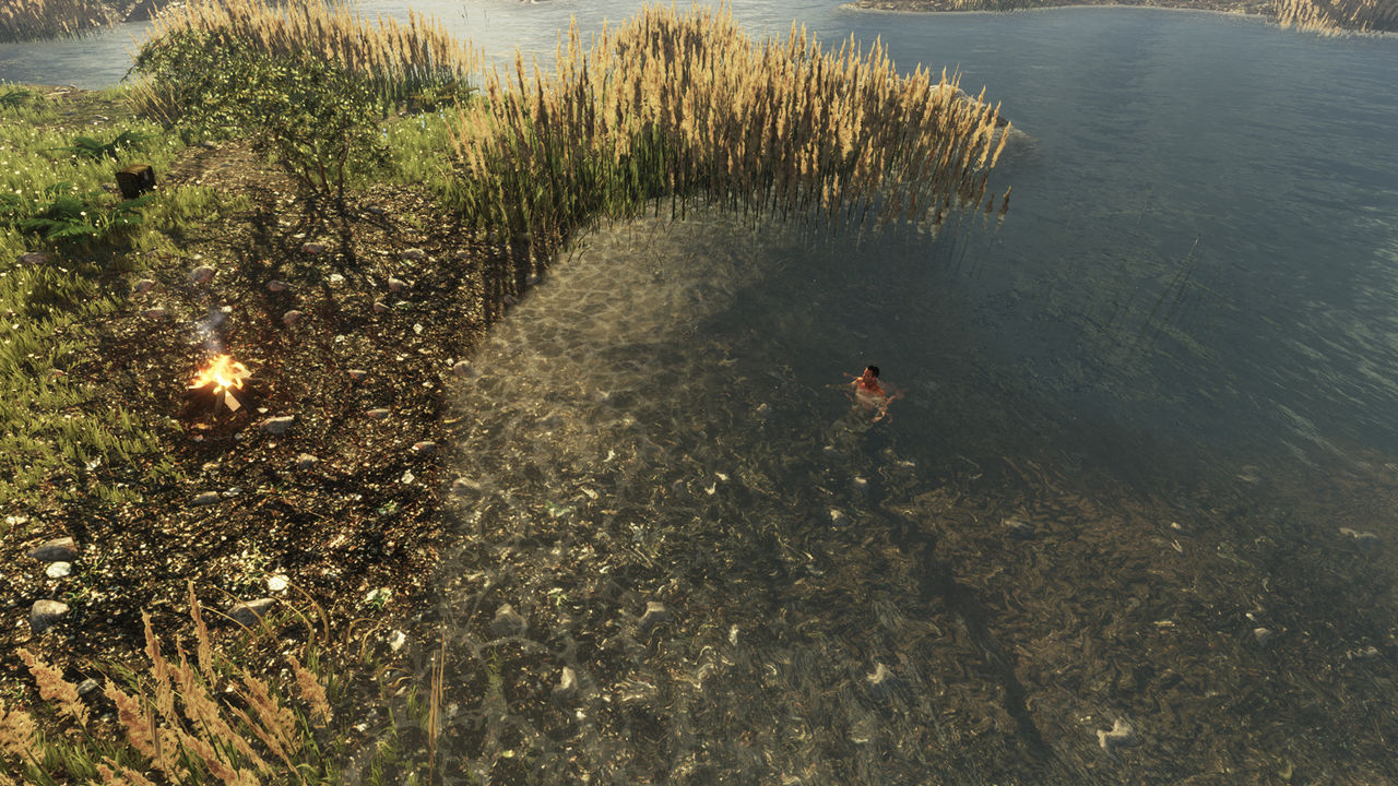 Subsistence - Videojuego (PC) - Vandal