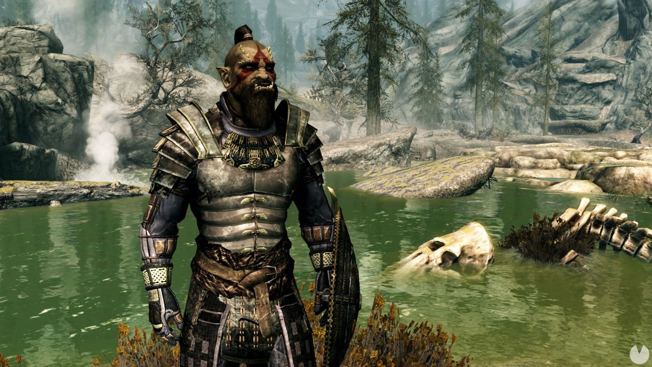 The Elder Scrolls V: Skyrim - Videojuego (PS3, Xbox 360, PC y Switch ...