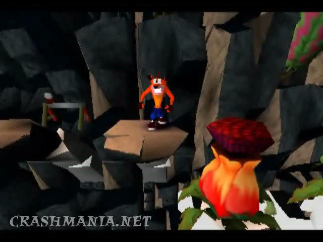 Willy the Wombat (Crash Bandicoot) - Lo que pudo ser - Vandal