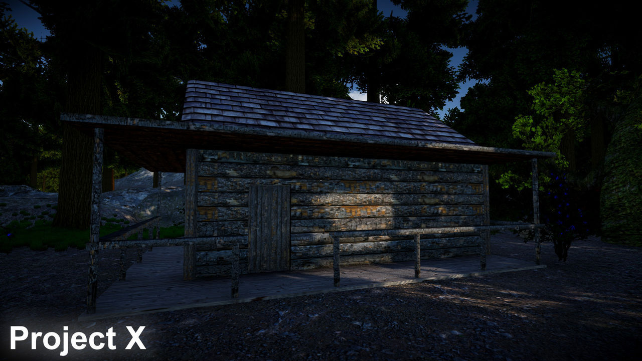 Project X - Videojuego (PS4) - Vandal