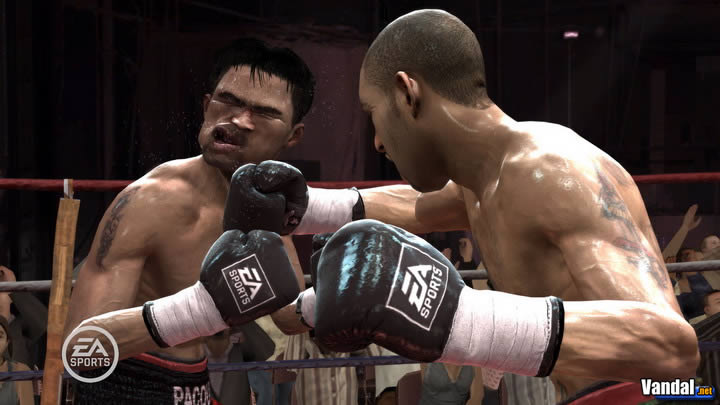 Fight Night Round 3 - Videojuego (PS3, PSP, PS2, Xbox 360 y Xbox) - Vandal