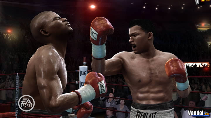 Fight Night Round 3 - Videojuego (PS3, PSP, PS2, Xbox 360 y Xbox) - Vandal
