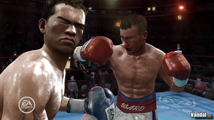 Fight Night Round 3 - Videojuego (PS3, PSP, PS2, Xbox 360 y Xbox) - Vandal