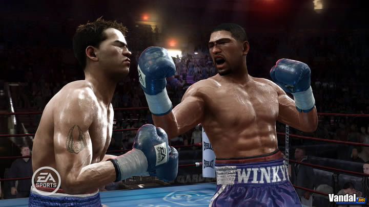 Fight Night Round 3 - Videojuego (PS3, PSP, PS2, Xbox 360 y Xbox) - Vandal