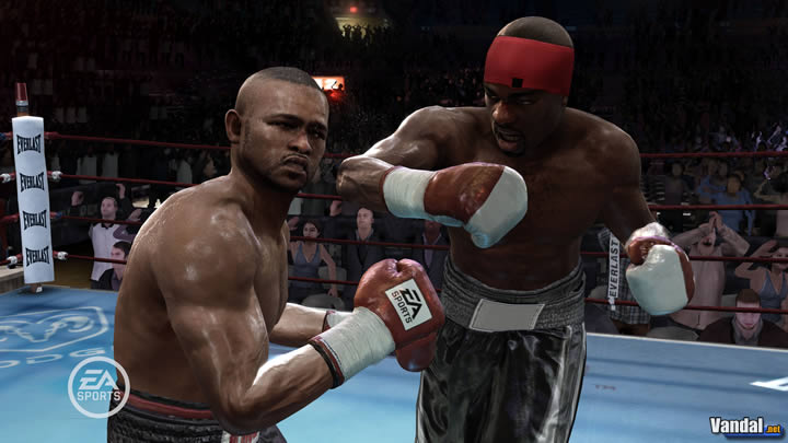 Fight Night Round 3 - Videojuego (PS3, PSP, PS2, Xbox 360 y Xbox) - Vandal