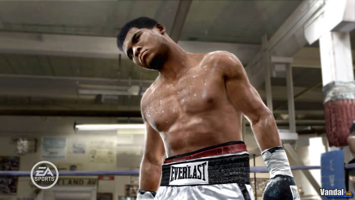 Fight Night Round 3 - Videojuego (PS3, PSP, PS2, Xbox 360 y Xbox) - Vandal