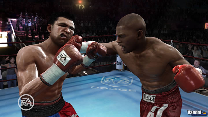 Fight Night Round 3 - Videojuego (PS3, PSP, PS2, Xbox 360 y Xbox) - Vandal