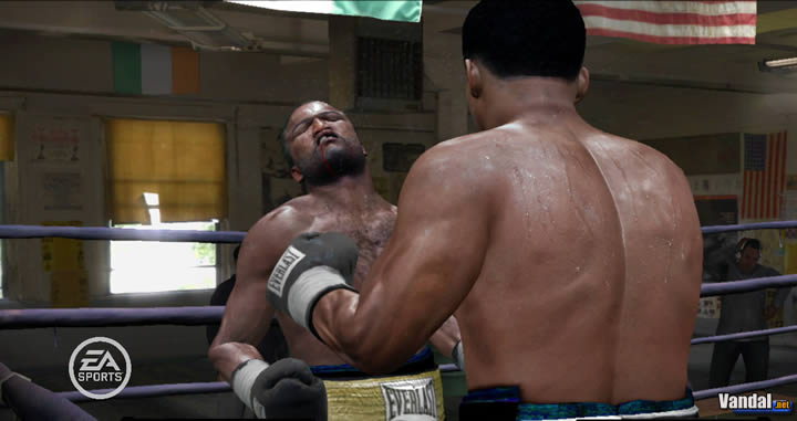 Fight Night Round 3 - Videojuego (PS3, PSP, PS2, Xbox 360 y Xbox) - Vandal