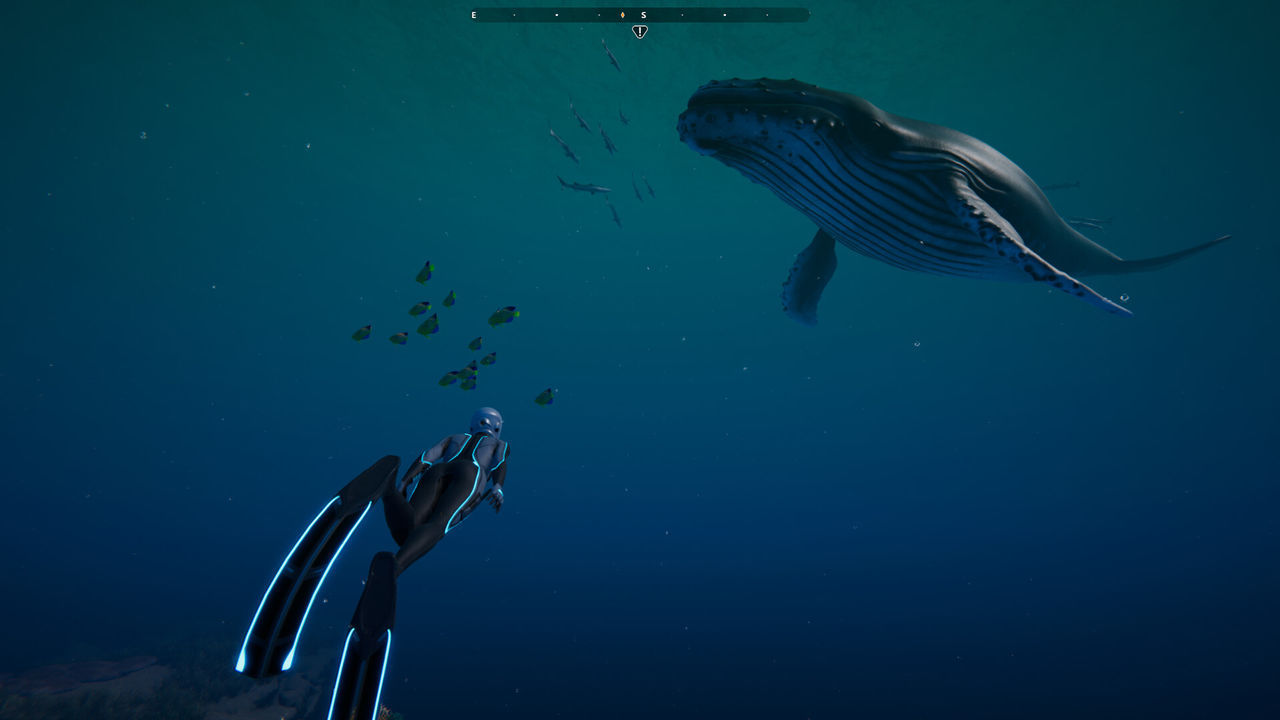 Beyond Blue - Videojuego (PS4, PC, Xbox One y Switch) - Vandal