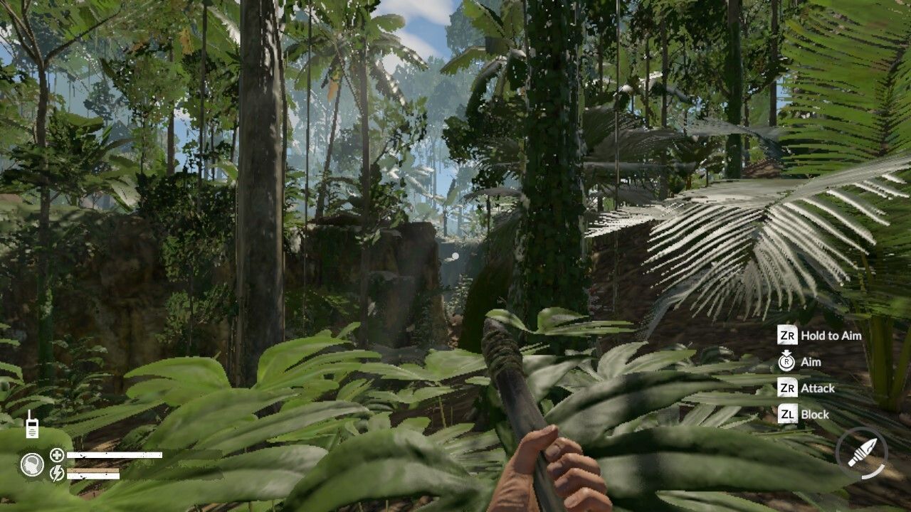 Green Hell - Videojuego (PC, PS4, Switch, Xbox One, PS5 y Xbox Series X ...