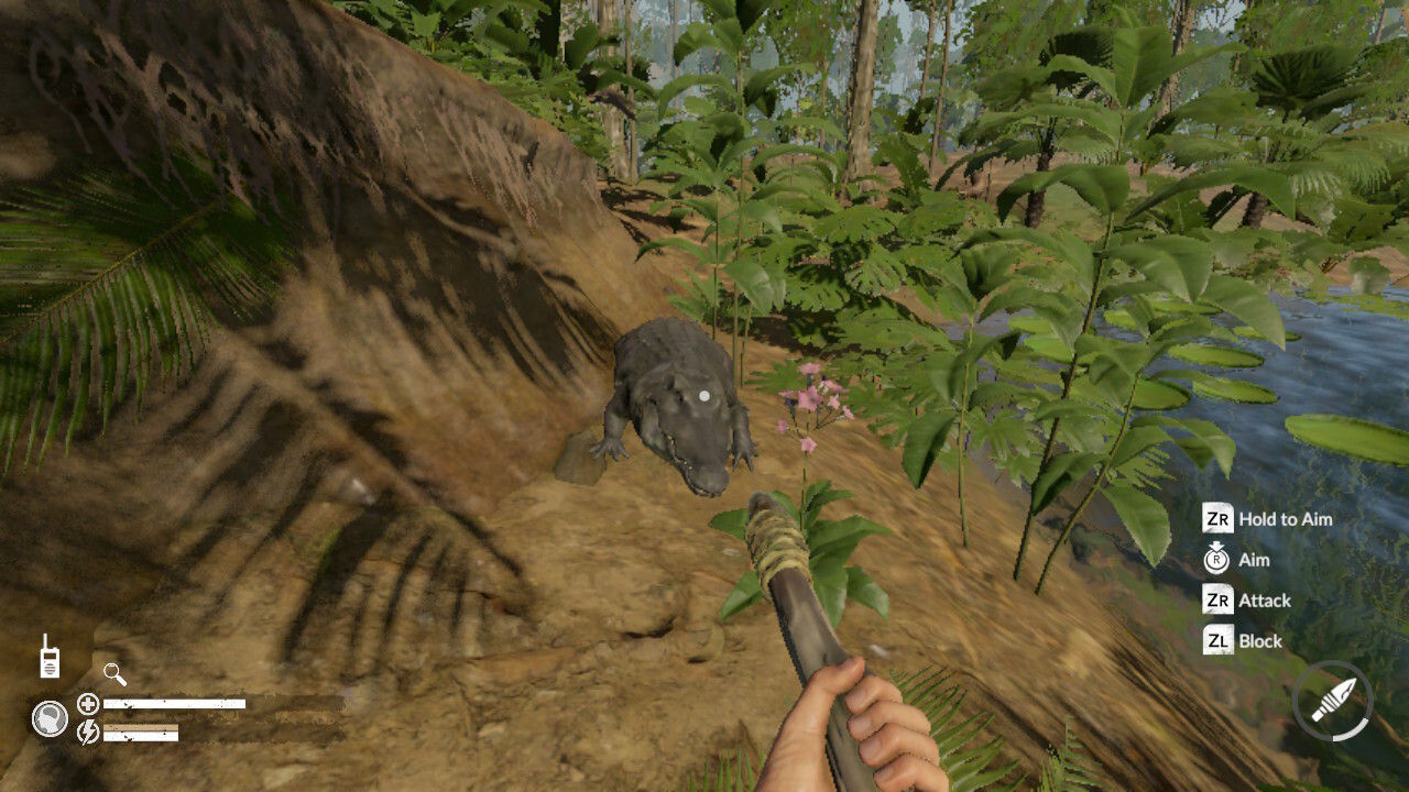 Green Hell - Videojuego (PC, PS4, Switch, Xbox One, PS5 y Xbox Series X ...