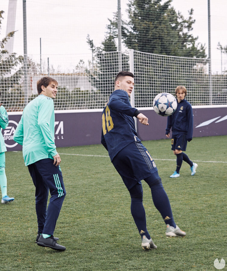 FIFA 20 - Videojuego (PS4, PC, Xbox One y Switch) - Vandal