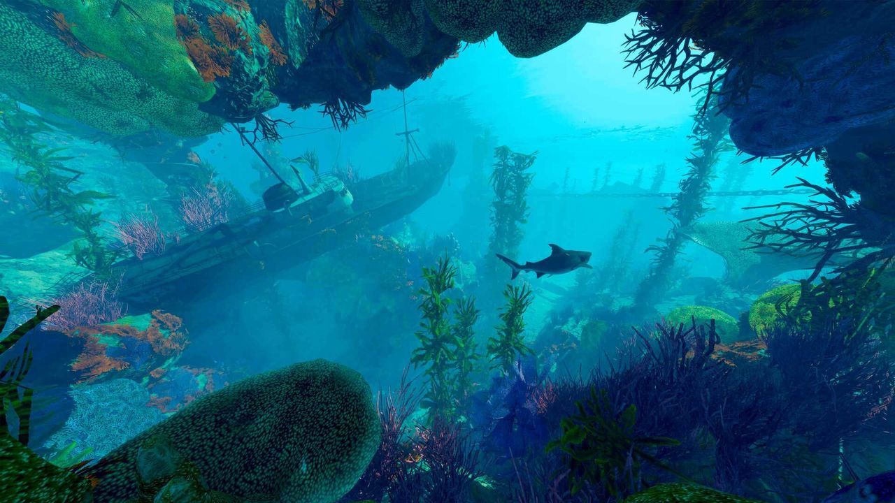 Maneater - Videojuego (Xbox One, PC, PS5, PS4, Switch y Xbox Series X ...