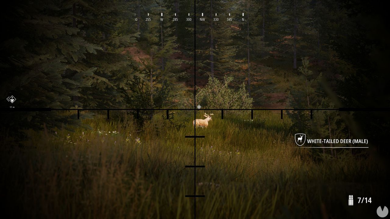 Hunting Simulator 2 - Videojuego (PS4, PC, Switch, Xbox One, Xbox ...