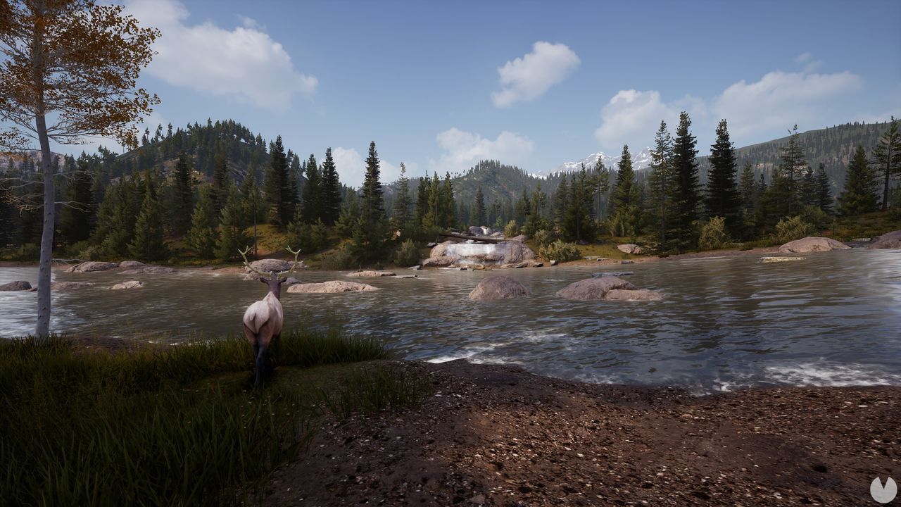 Hunting Simulator 2 - Videojuego (PS4, PC, Switch, Xbox One, Xbox ...