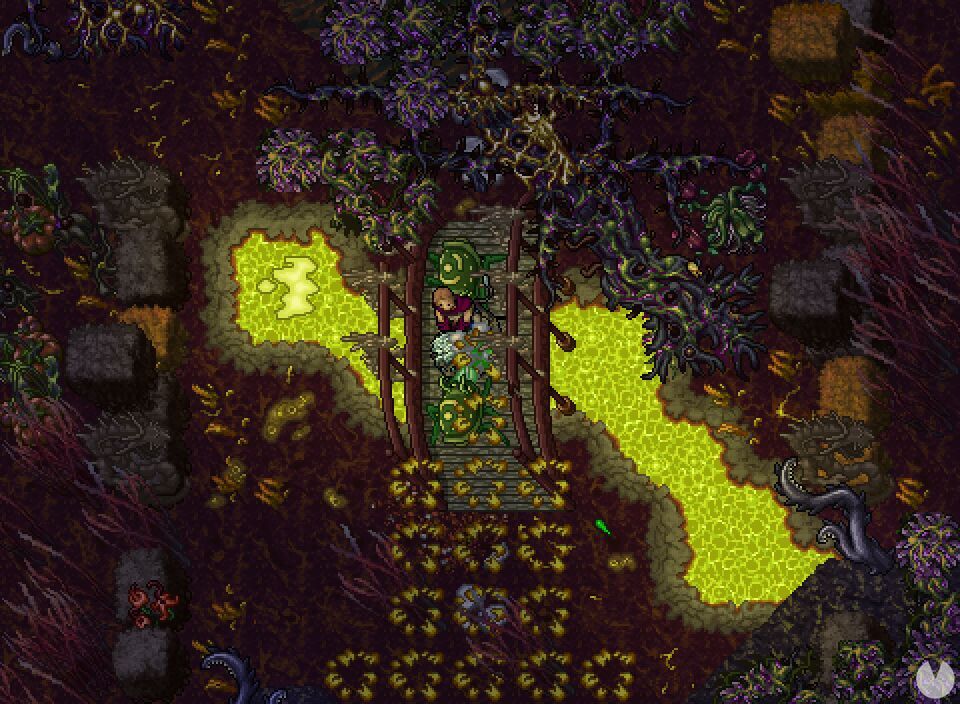 Tibia - Videojuego (PC) - Vandal