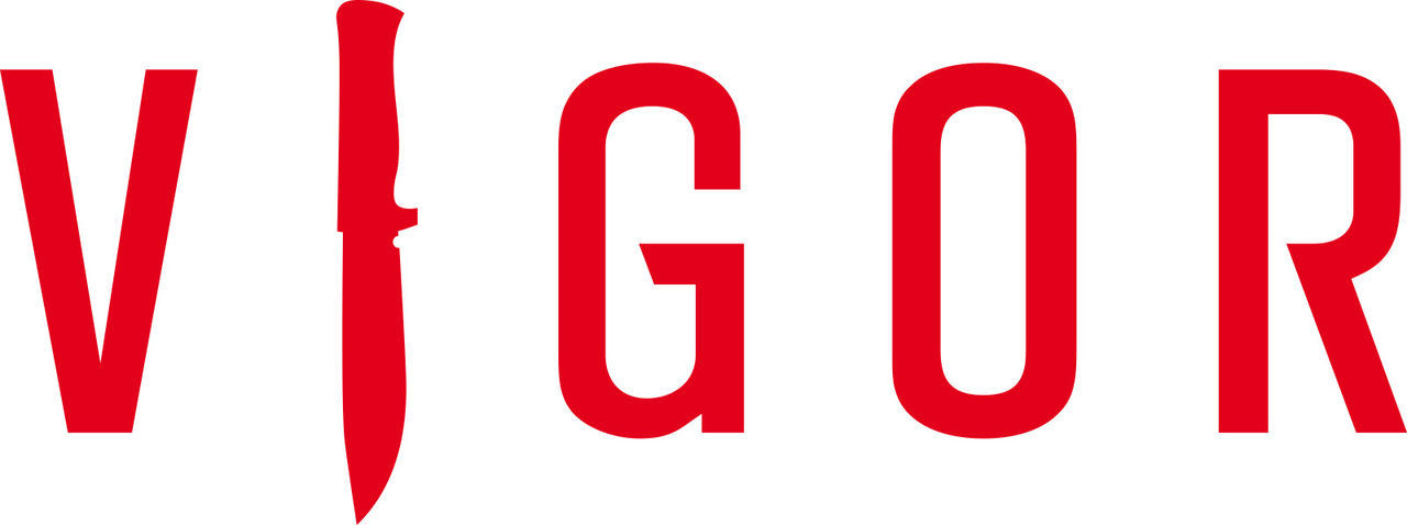 Vigor - Videojuego (Xbox One, Switch, PS5 y PS4) - Vandal