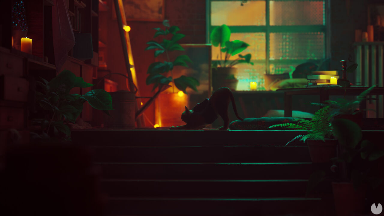 Stray - Videojuego (PC, PS5, PS4, Xbox Series X/S y Xbox One) - Vandal