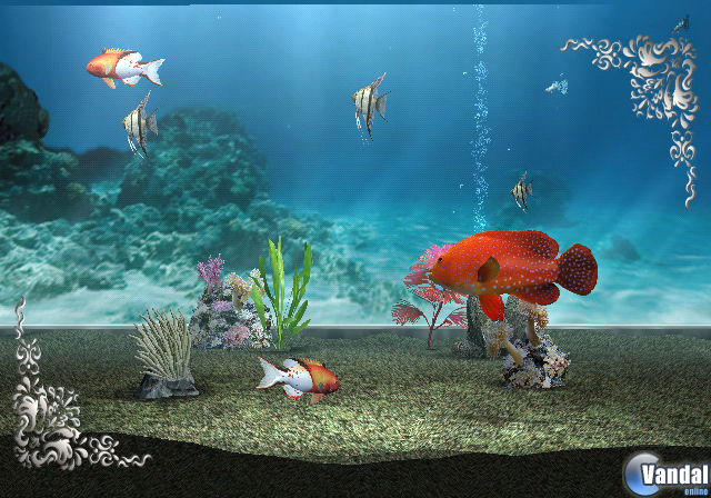 My Aquarium - Videojuego (PS3 y Wii) - Vandal